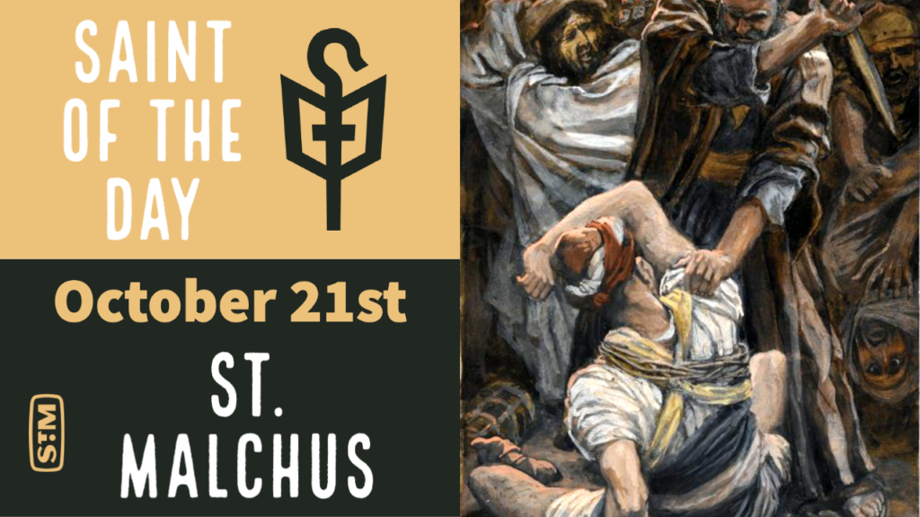 St. Malchus - St. Malachy